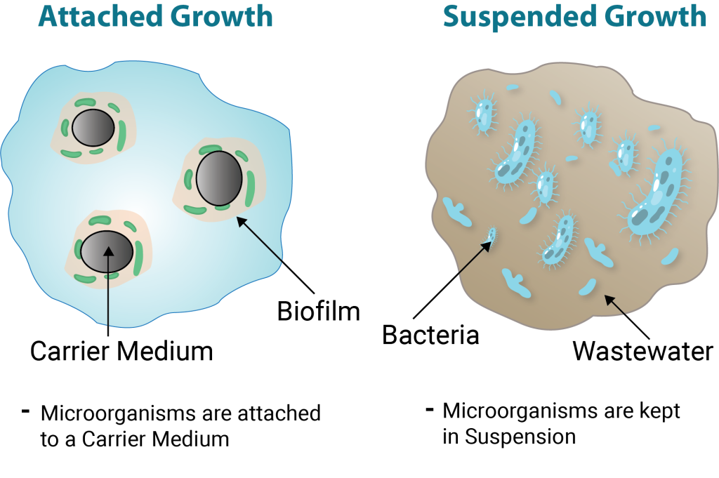 MBBR & IFAS attached growth process