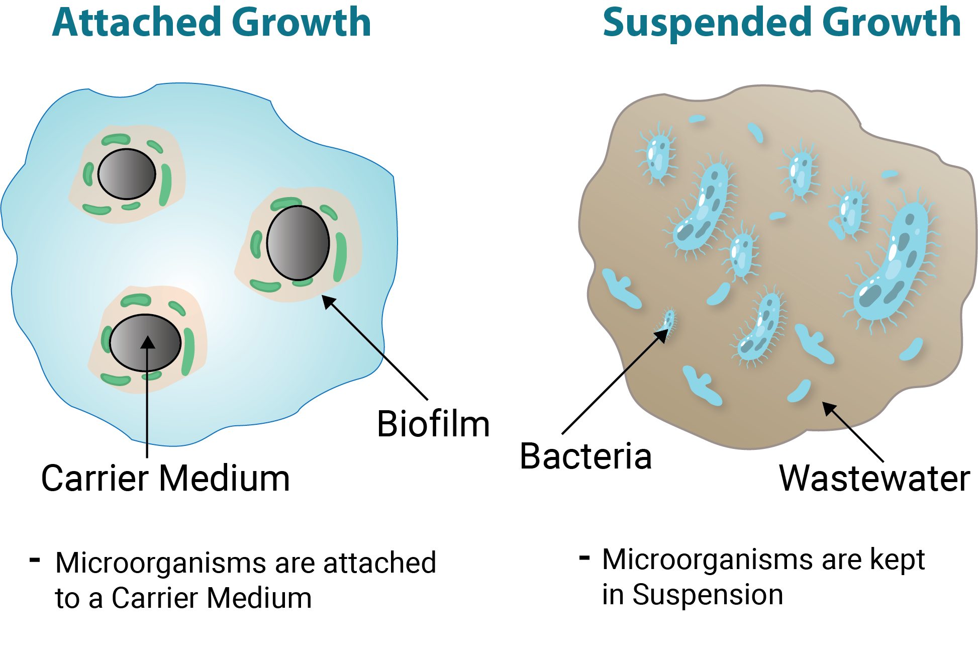 MBBR & IFAS attached growth process